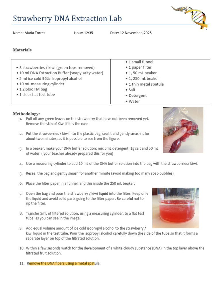 CAISL Dna Extraction Lab | PDF