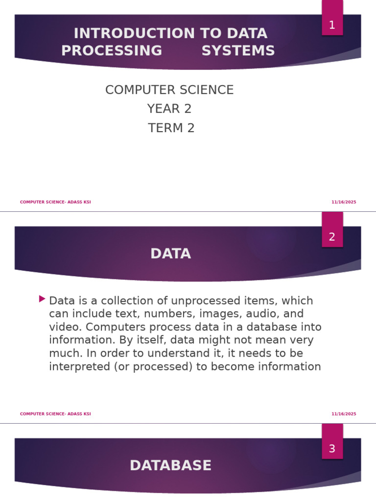 Introduction To Data Processing Systems | PDF | Databases | Microsoft Access