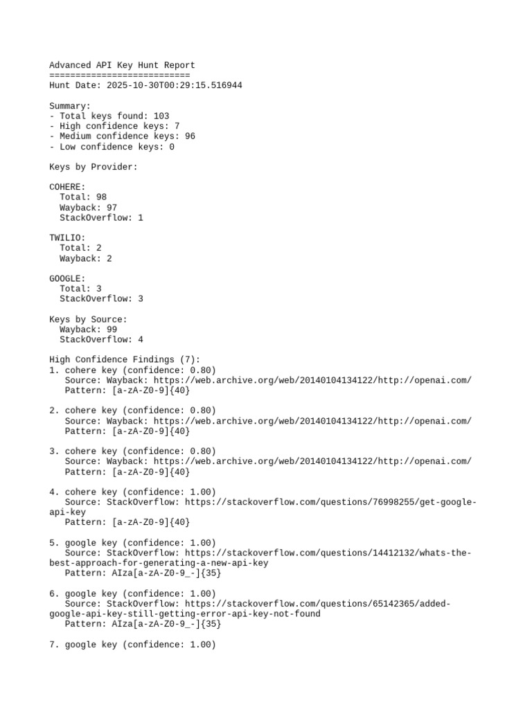 API Key Hunt Summary Report 2025 | PDF