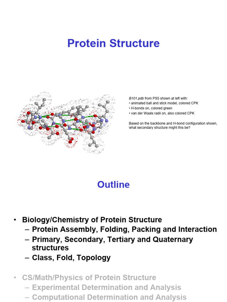 Understanding Protein Structure Basics | PDF | Protein Structure ...