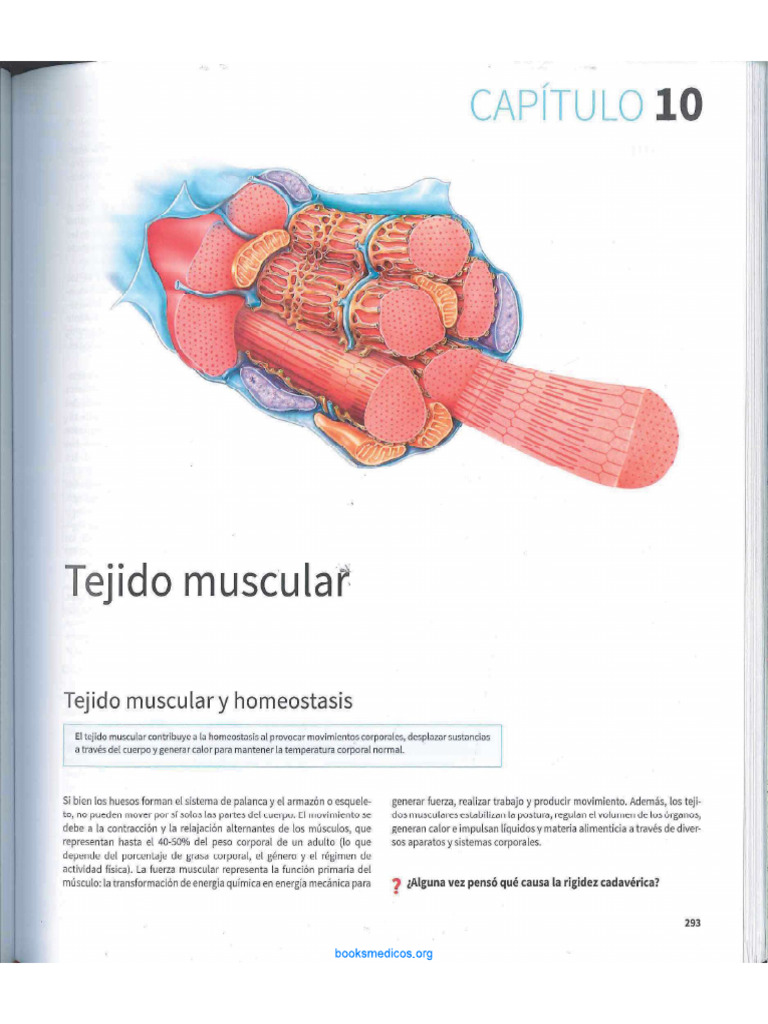 Tortora Derrickson Principios de Anatomia y Fisiologia 15a Edicion ...