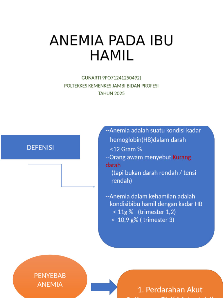 Anemia Pada Ibu Hamil | PDF