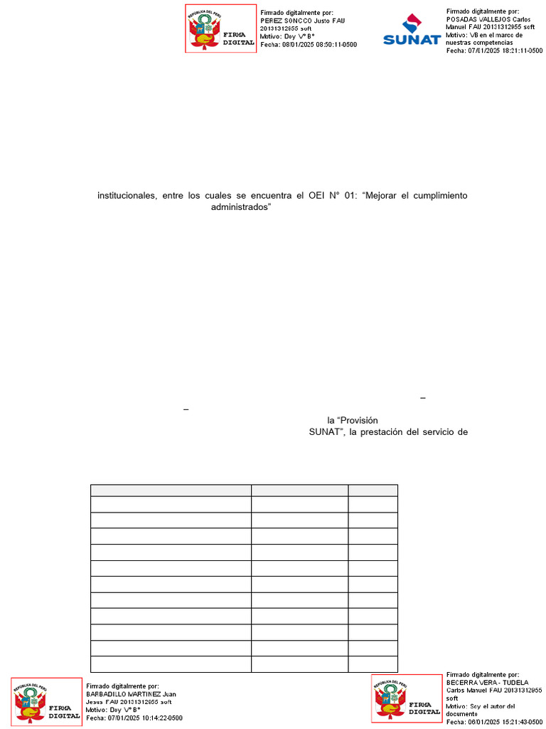 Requerimiento TDR Ri 000022 2025 | PDF | Software | Soporte técnico