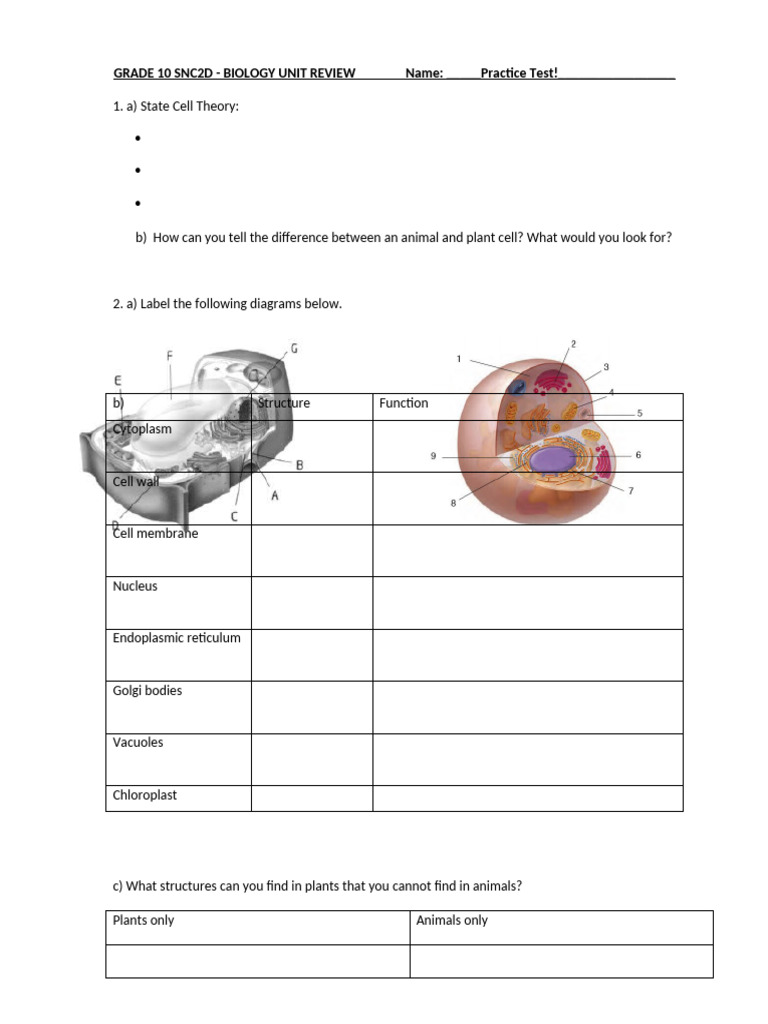 Grade 10 Biology Unit Review Test | PDF
