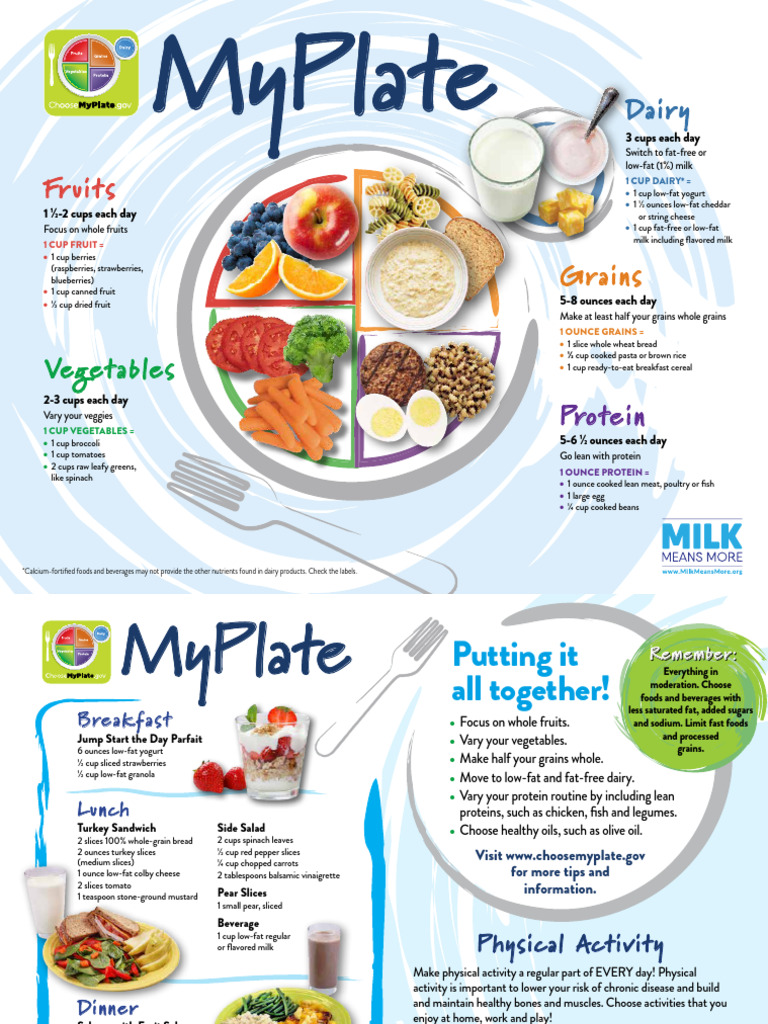 MyPlate-Adults Teens Handout WEB | PDF | Foods | Fruit