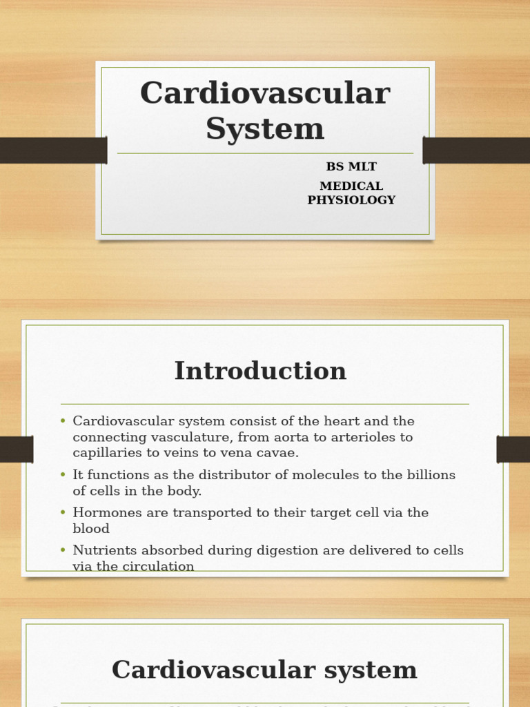 Overview of the Cardiovascular System | PDF | Heart | Circulatory System