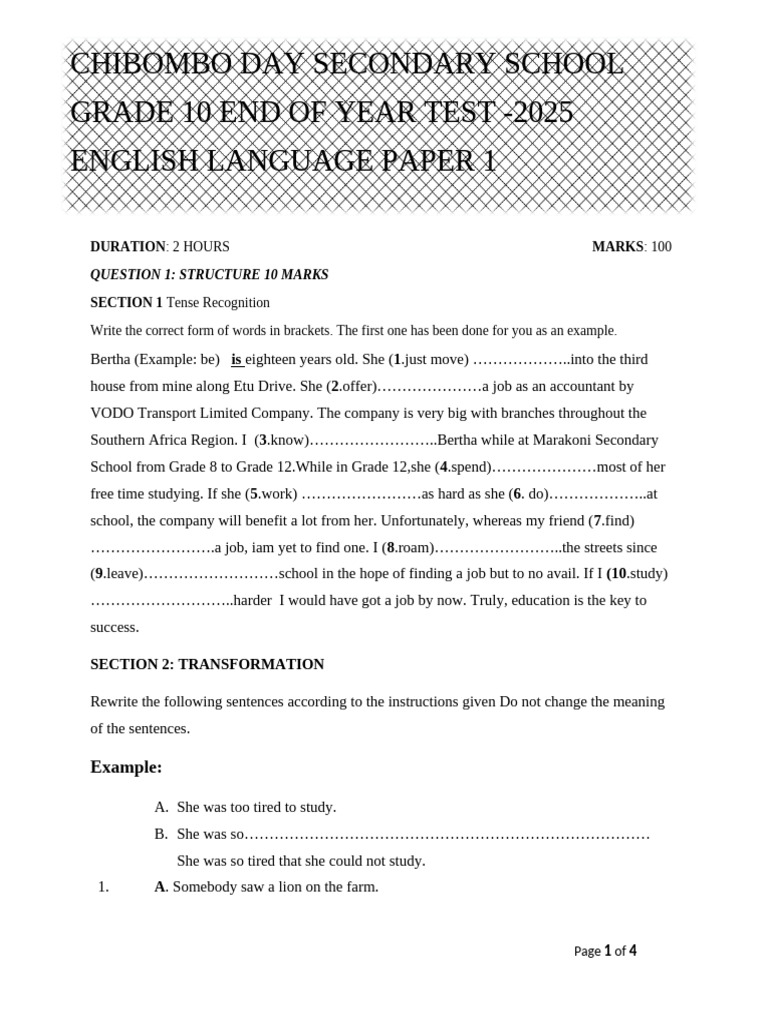 Grade 10 English Language Exam 2025 | PDF