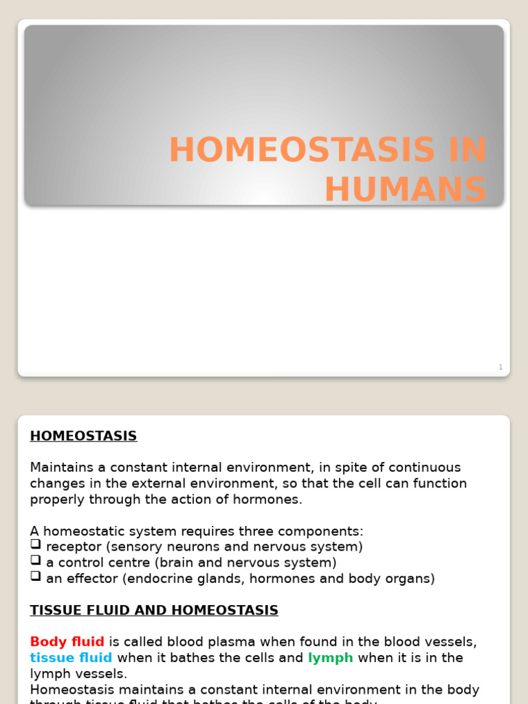 Homeostasis in Humans 8 | PDF | Homeostasis | Thermoregulation