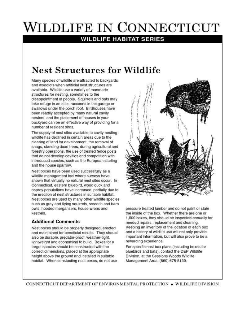 Nest Structures For Wildlife | PDF | Nest | Paravians