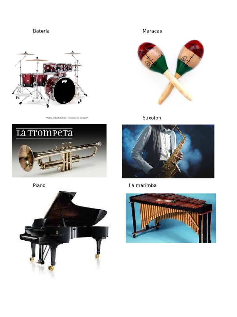 Bateria Maracas | PDF