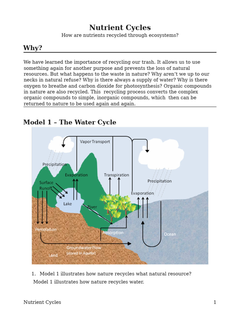 22 Nutrient Cycles-S | PDF | Water | Water Cycle