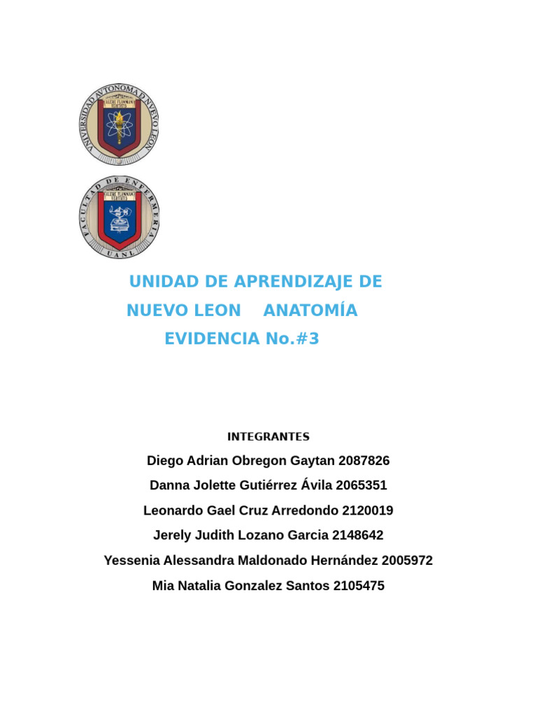 ANATOMIA-EVID.3 | PDF | Ventrículo (corazón) | Corazón