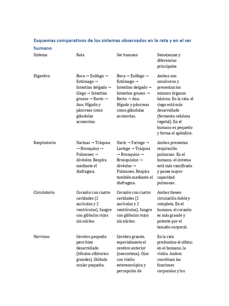 Comparativa de sistemas en ratas y humanos | PDF | Pulmón | Sistema ...