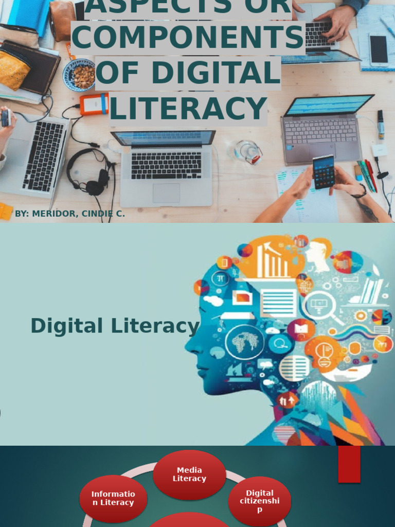 Aspects or Components of Digital Literacy-2 | PDF