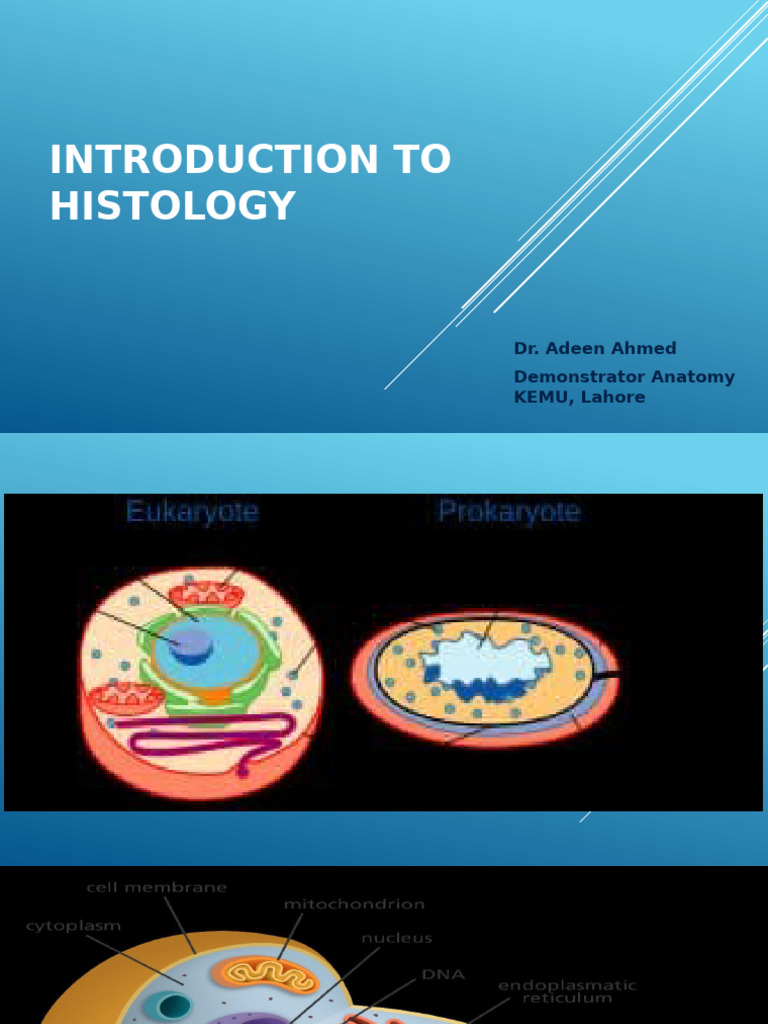 Introduction To Histology | PDF
