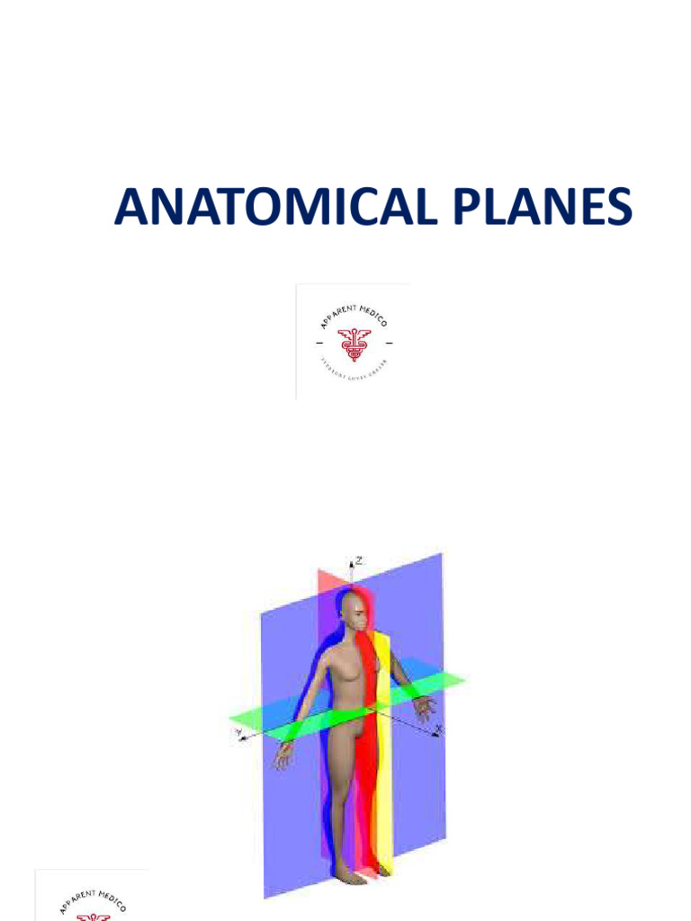 Anatomical Planes | PDF
