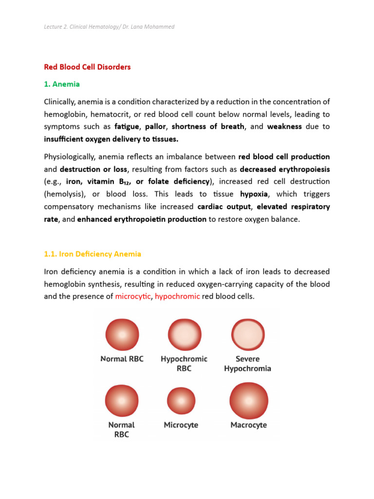 Lect. 2. Red Blood Cell Disorders | PDF | Anemia | Vitamin B12