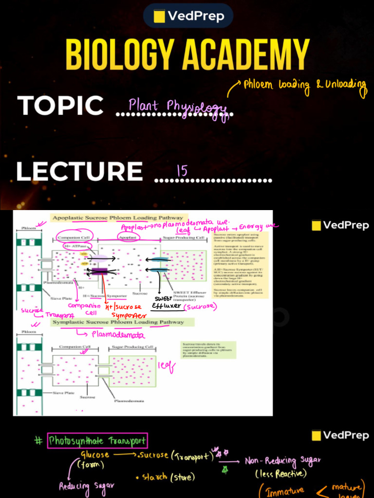 Plant Physiology Lec-15 | PDF