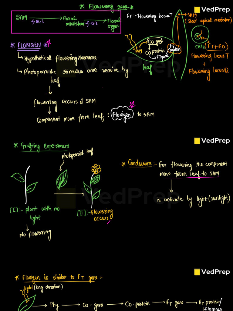 Plant Physiology Lec-17 | PDF