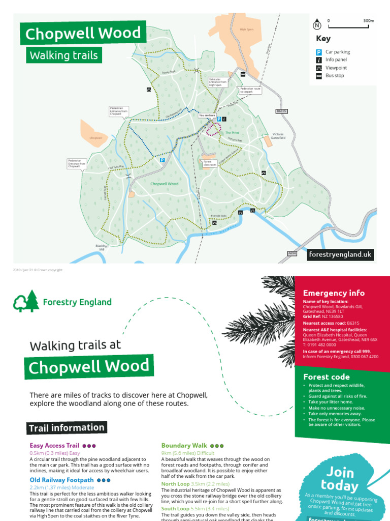 Walking Trails at Chopwell Wood | PDF | Trail | Transport