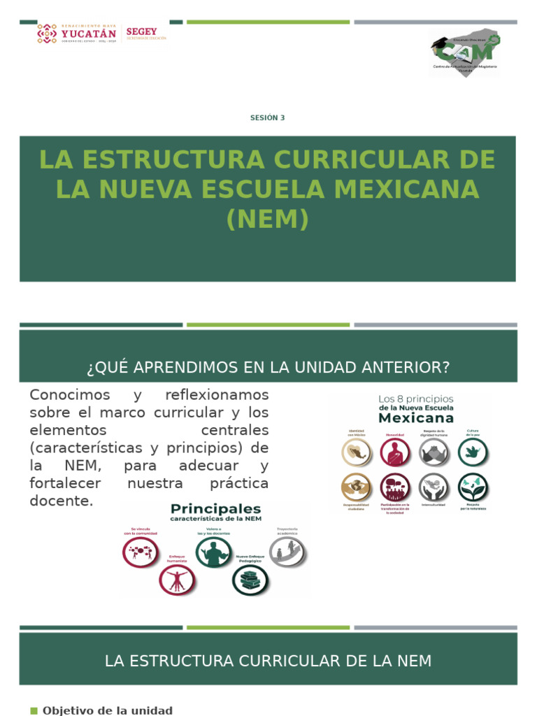 Estructura Curricular de La NEM | PDF | Evaluación | Aprendizaje