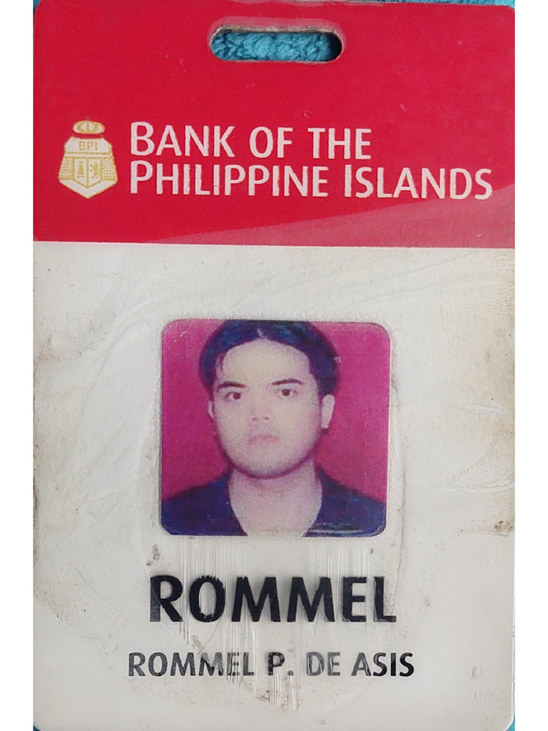 BPI | PDF