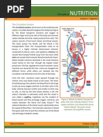 Sysmex CELLPACK DCL Overview | PDF | Blood Cell | Vertebrates