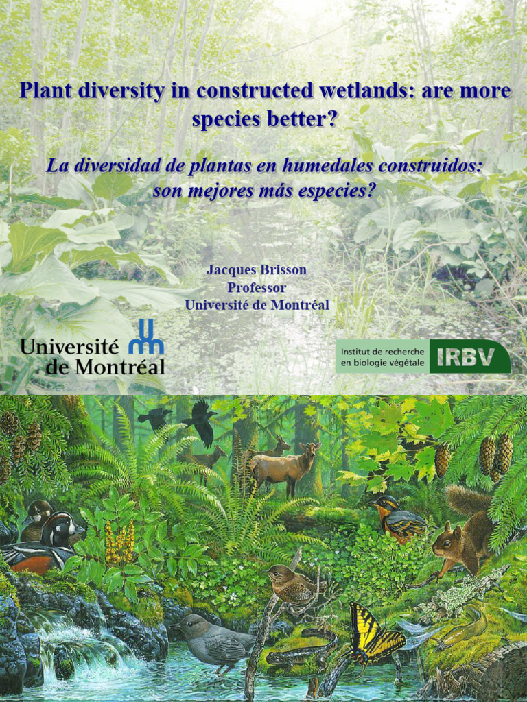 Brisson, Jacques | PDF | Ecosystem | Wetland