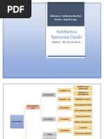 Northwestern Beta-Lactam Cross-Reactivity Chart | PDF | Penicillin ...
