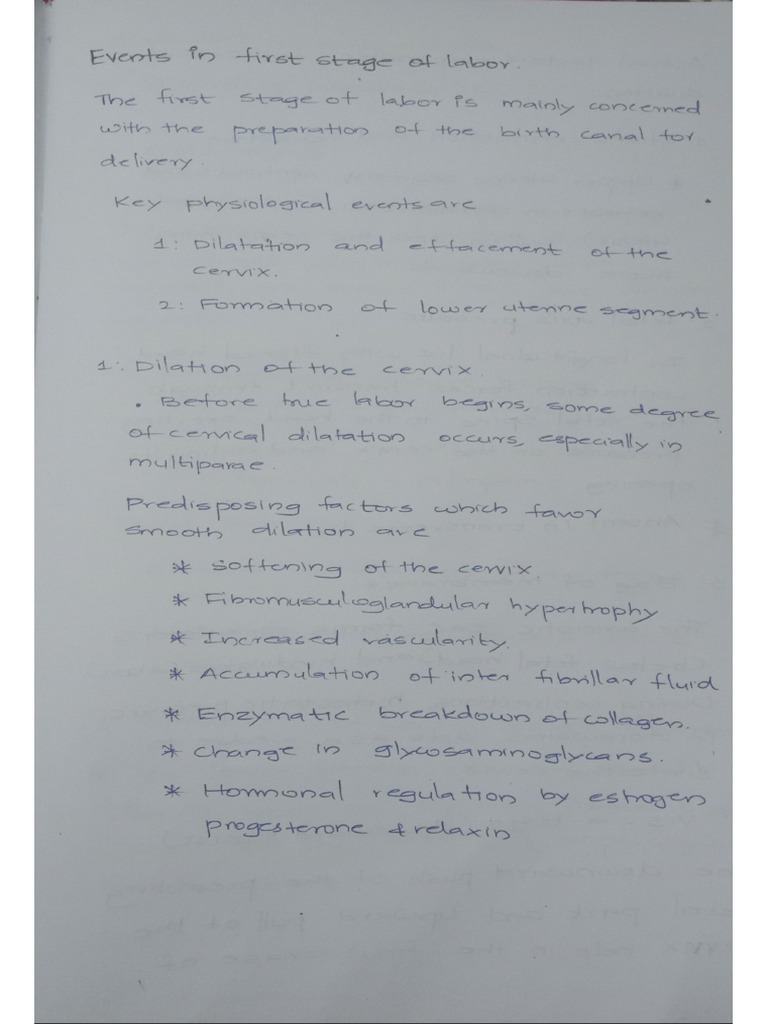 First Stage of Labor | PDF