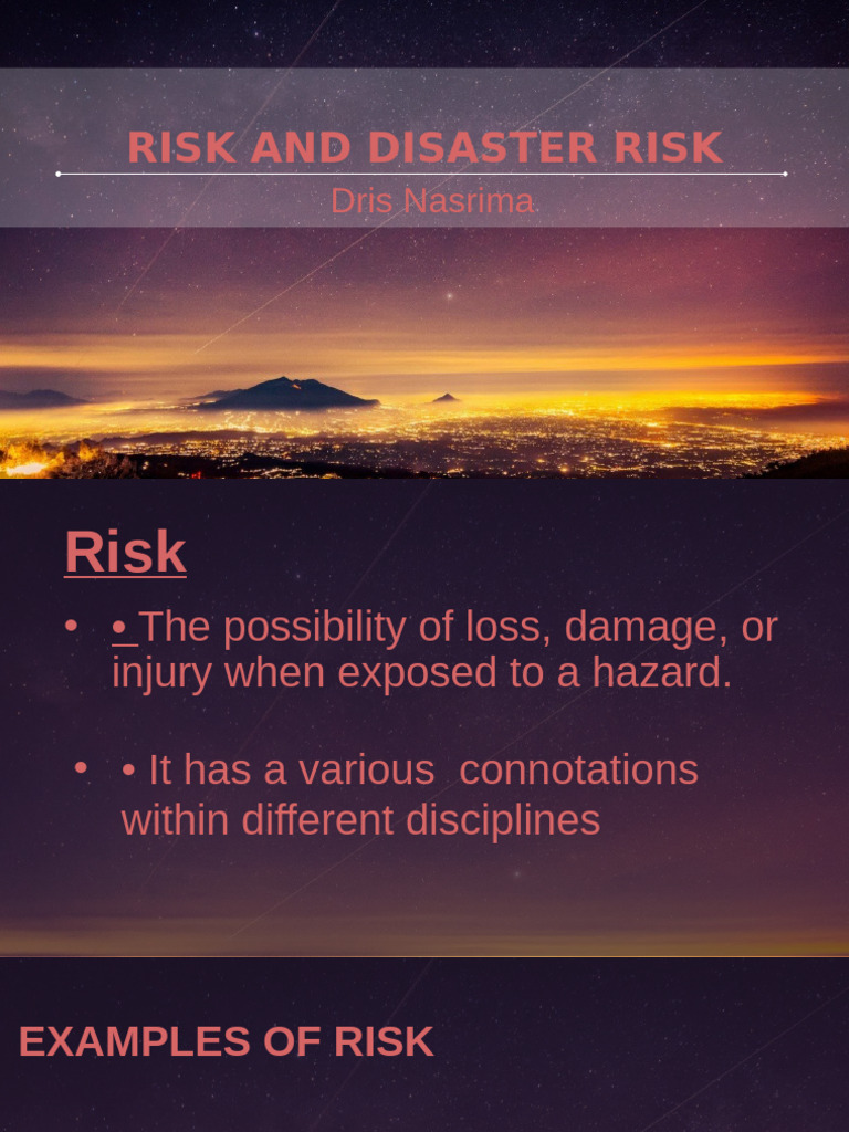 Risk and Disaster Risk | PDF