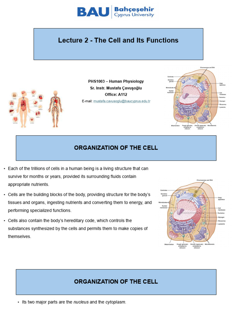 Lecture 2 - The Cell and Its Functions | PDF | Endoplasmic Reticulum | Cytoskeleton