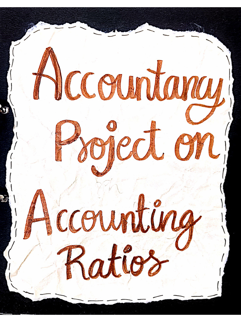 Accounts Project PDF | PDF