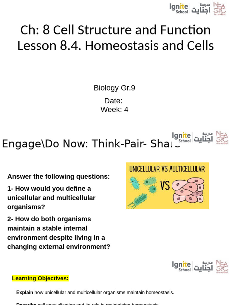 Homeostasis in Cells: Unicellular vs Multicellular | PDF | Organisms ...