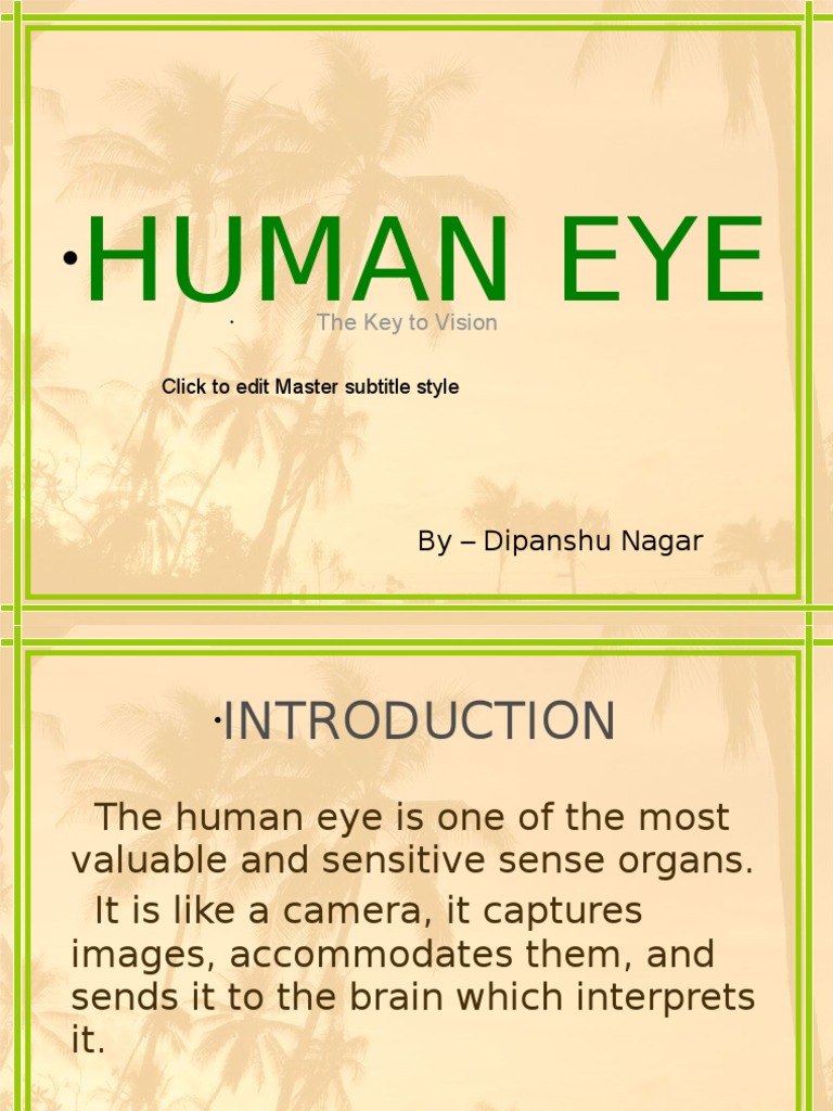 Human Eye Presentation | Download Free PDF | Human Eye | Cornea