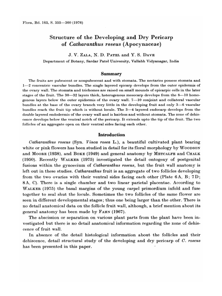 Pericarp Structure of Catharanthus roseus | PDF | Fruit | Plant Morphology