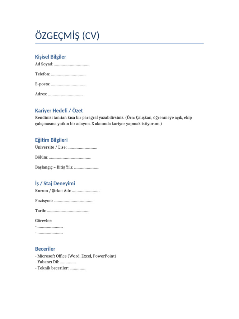 CV Ornek | PDF