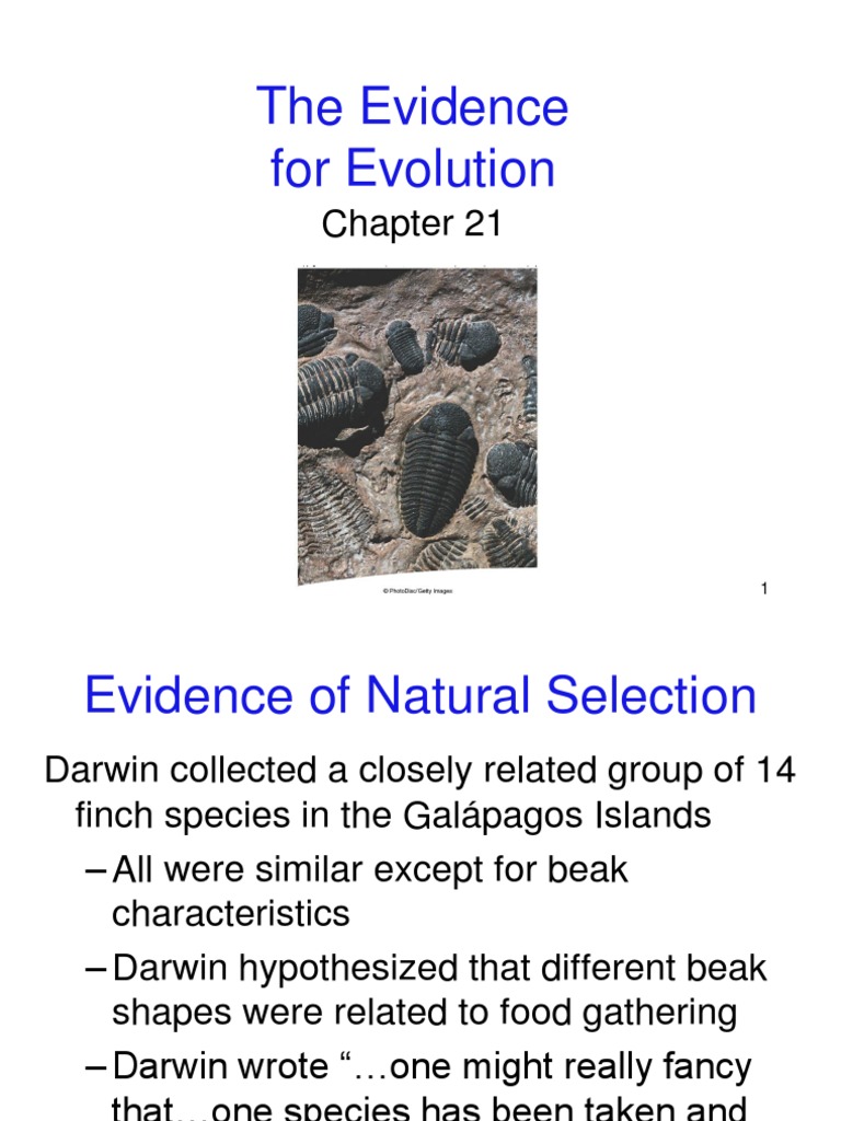 The Evidence For Evolution | PDF | Homology (Biology) | Natural Selection