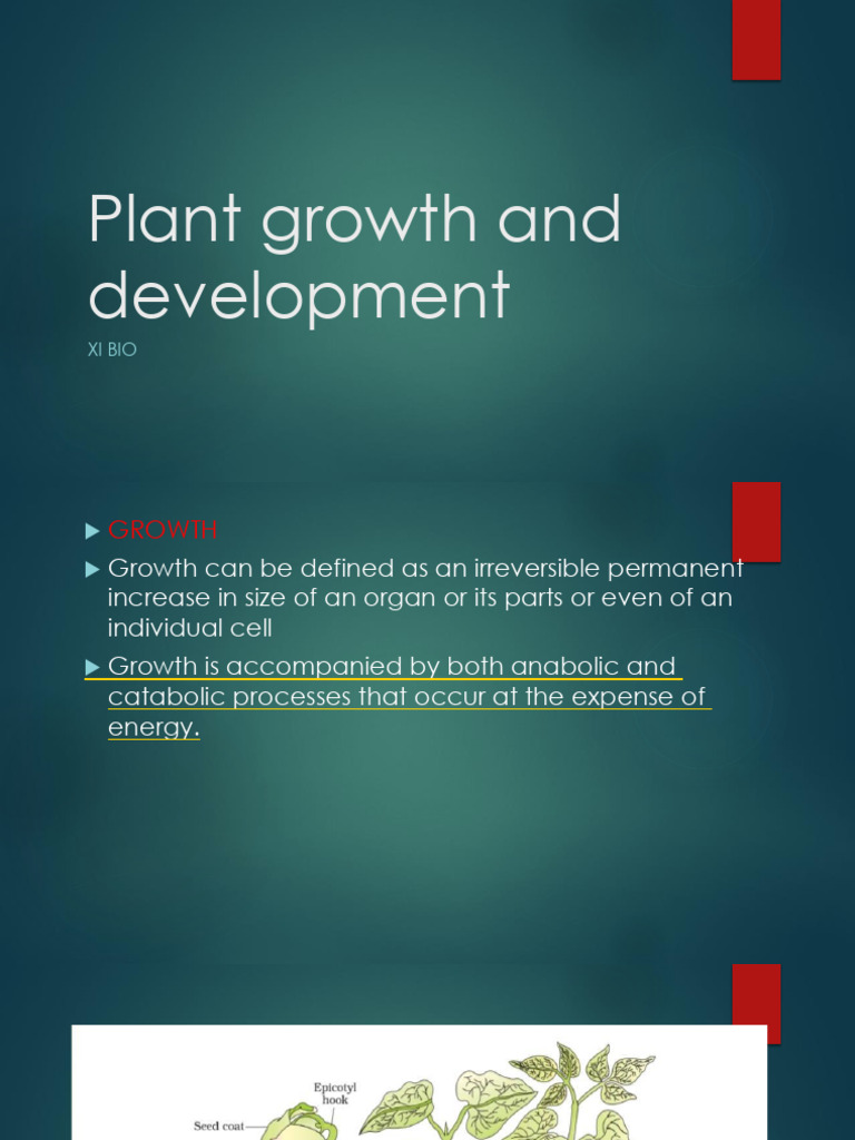 Understanding Plant Growth and Development | PDF | Auxin | Plant Hormone