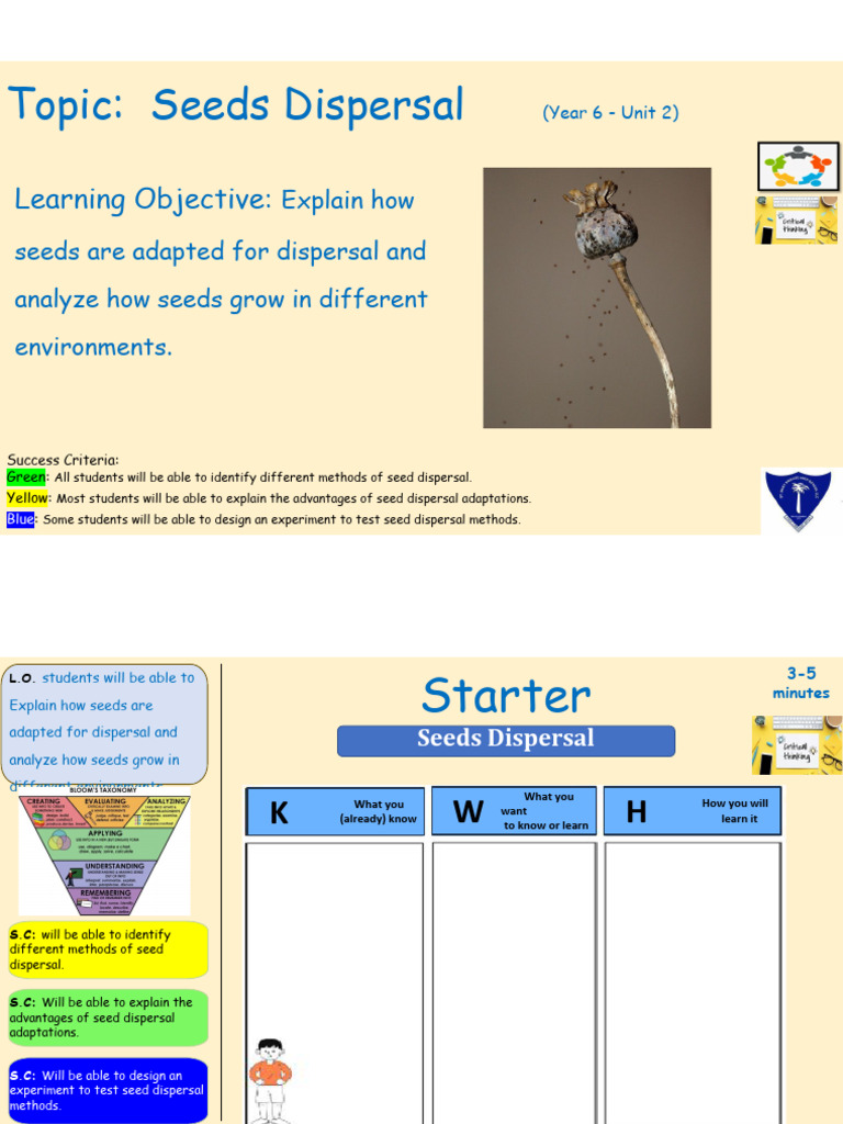 Seed Dispersal Methods and Adaptations | PDF | Seed | Biological Dispersal