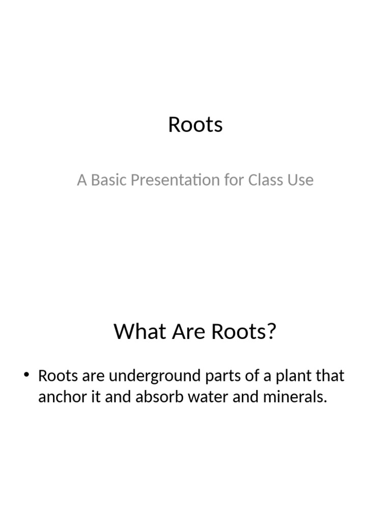 Roots Presentation Pdf