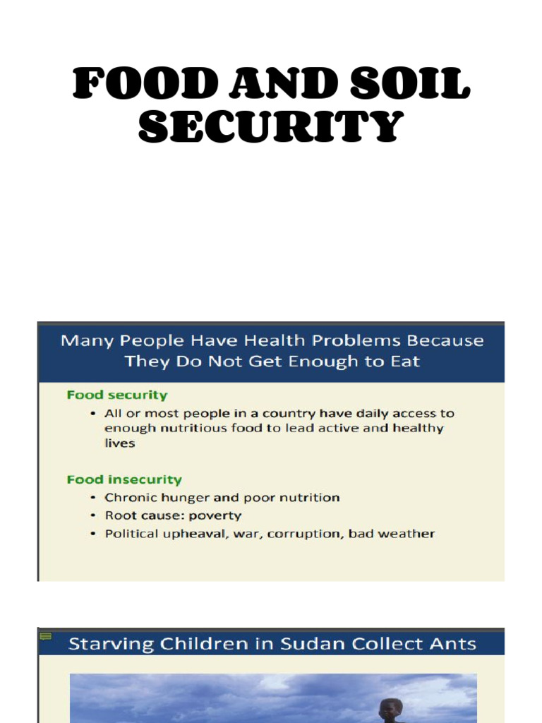 Food Security and Soil PPT - PPTX.PDF 20251022 125456 0000 | PDF