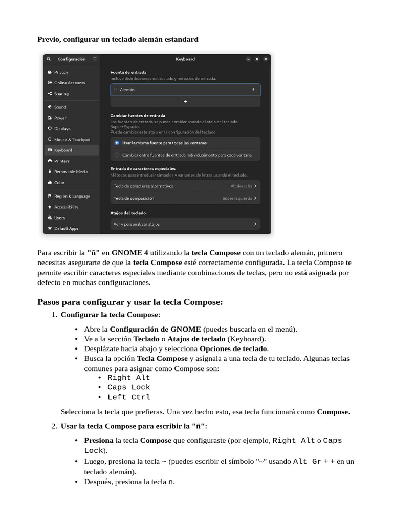 Eñe en Teclado Alemán | PDF
