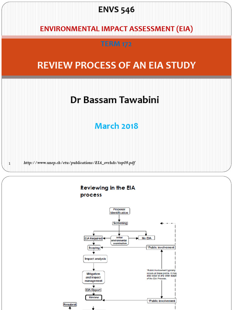 3.review Process of An Eia Study (Report) | PDF