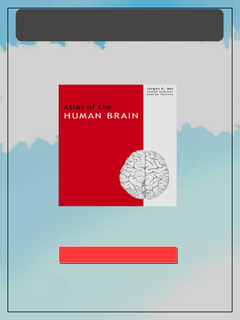 Atlas of the Human Brain 2nd Edition Jürgen K. Mai Complete Edition ...