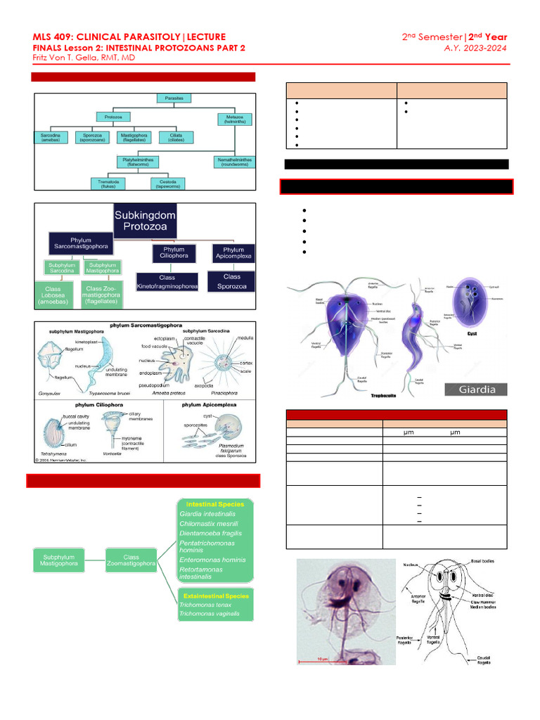 Finals - Parasitology Lecture 2 | PDF