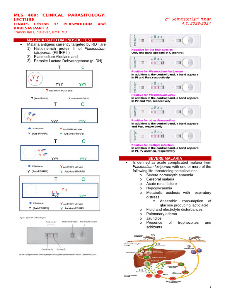 Finals - Parasitology Lecture 4 | PDF | Malaria | Plasmodium