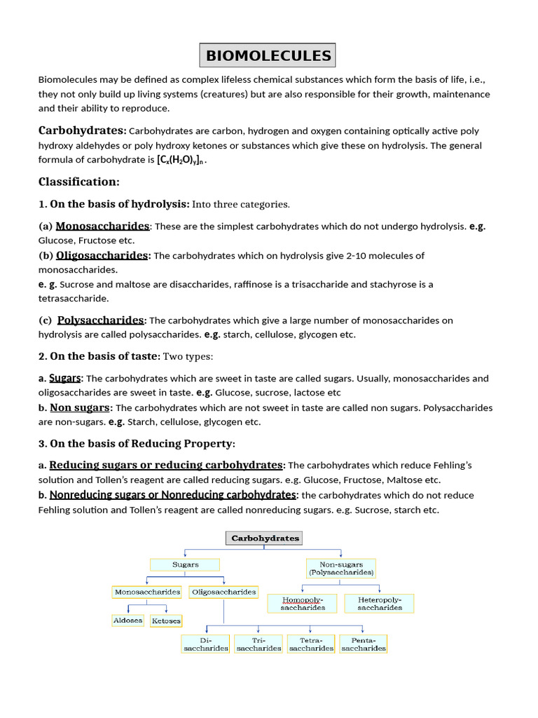 Biomolecules Carbohydrate | PDF | Carbohydrates | Glucose