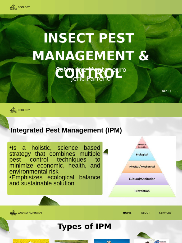 Insect Management and Control Final | PDF | Biological Pest Control ...