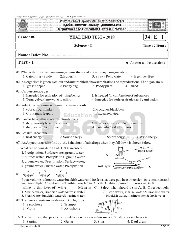Gr6 en Science 2019 Term 3 | PDF